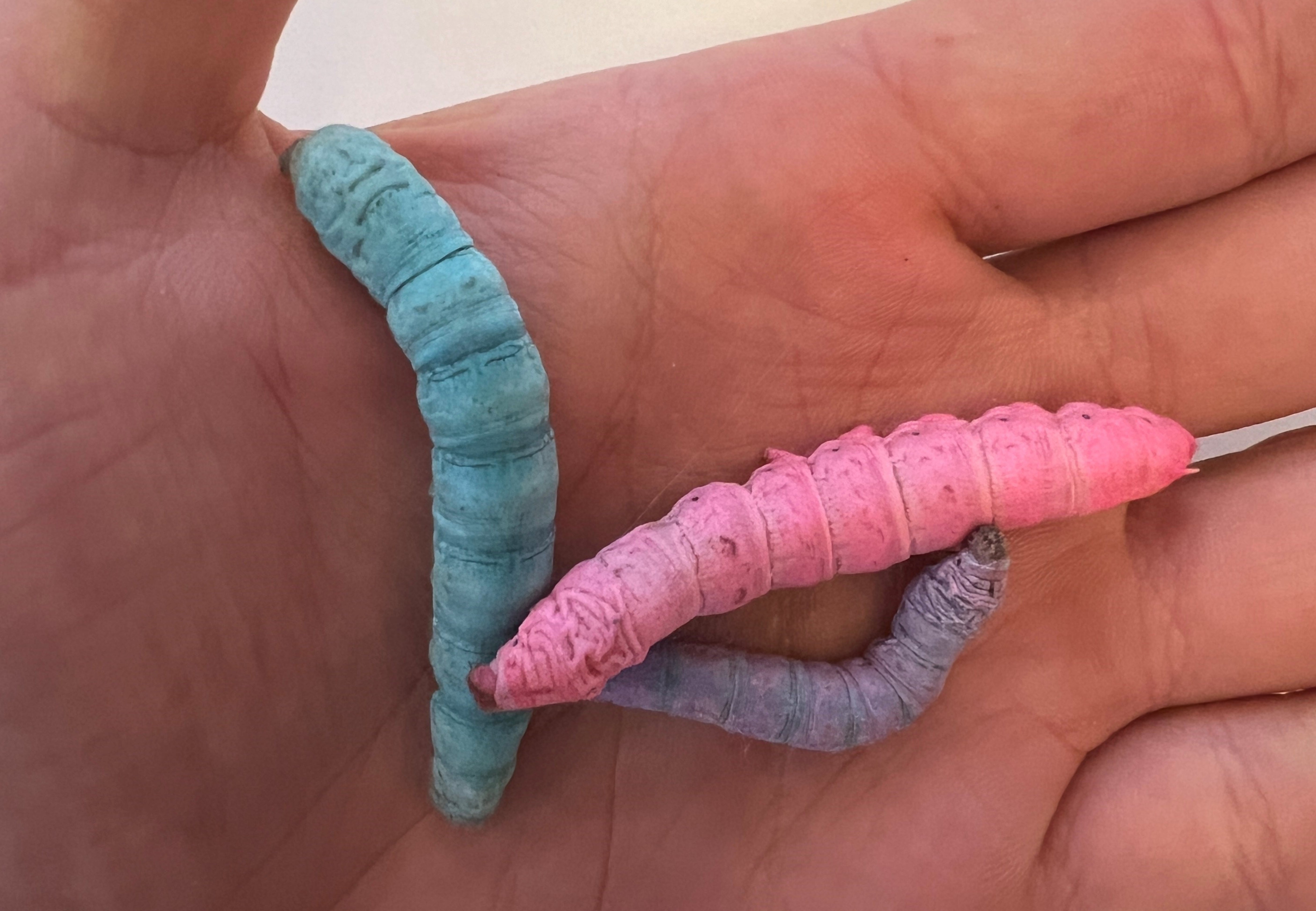 Exotic Silkworm Chow – Everything Silkworms