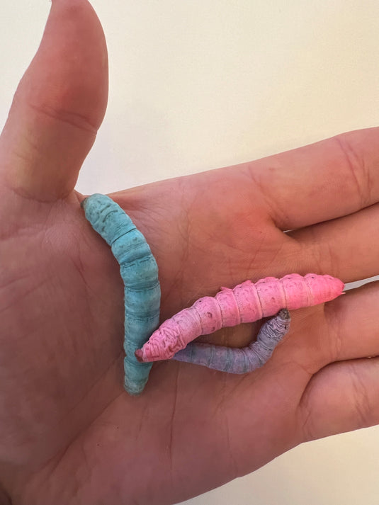 Everything Silkworms | Shop