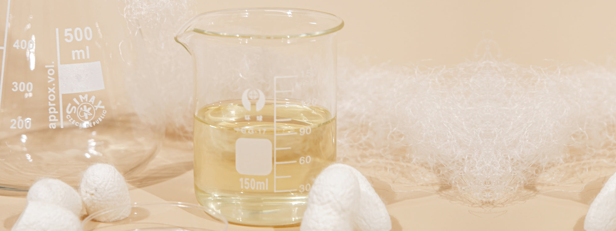 Everything Silkworms | Cocoon Collection Program